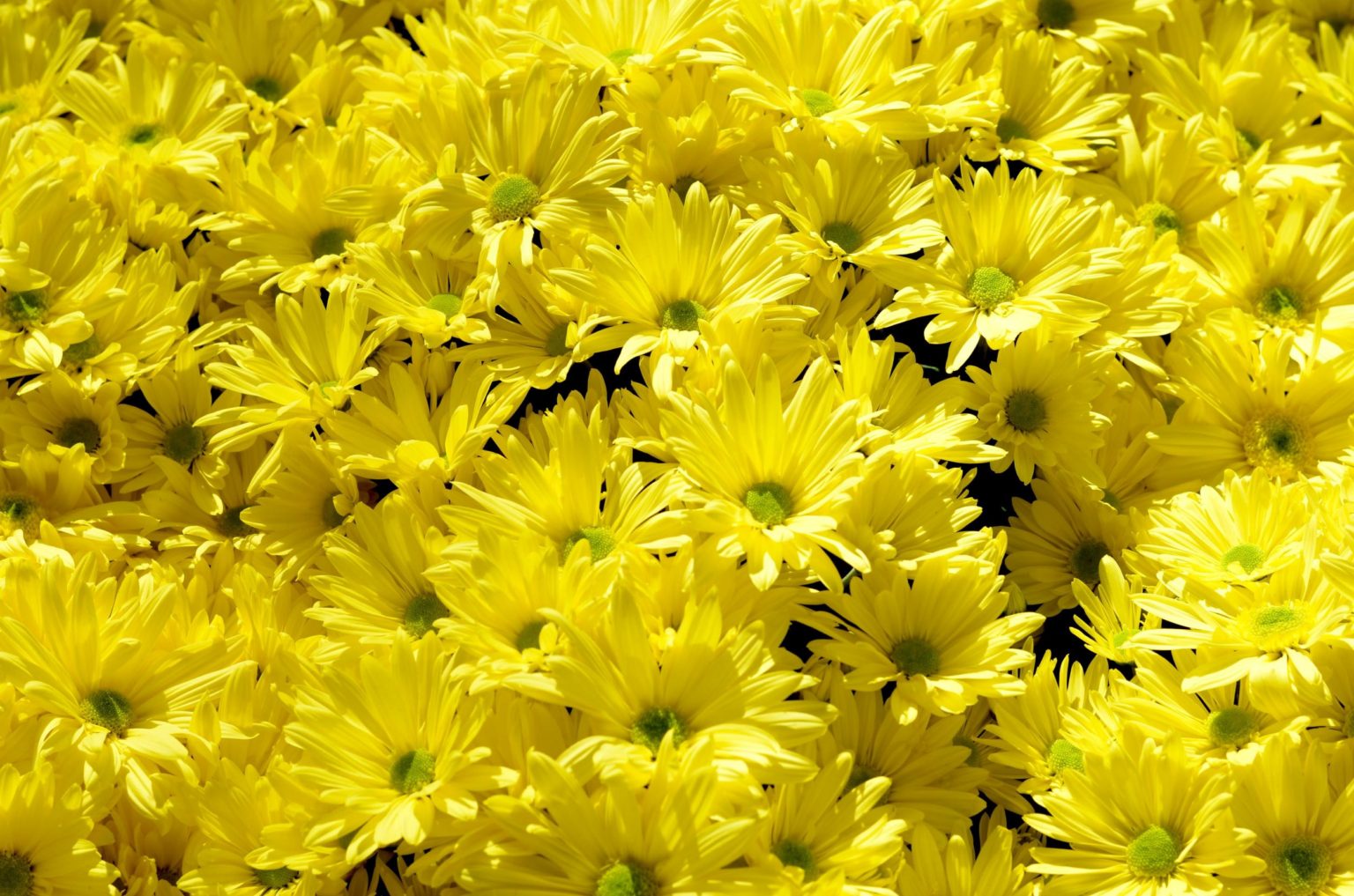 Restore Your Mind with Healing Color Visualization