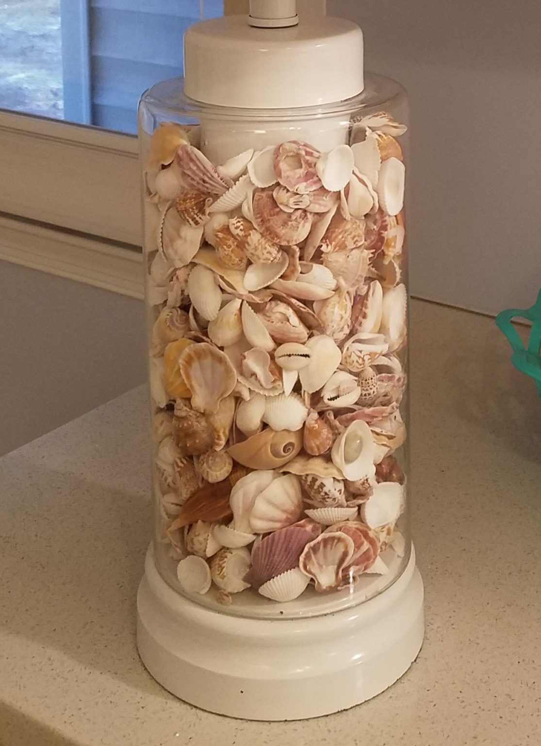 Craft with Shells and Turn Your Home into a Beach House